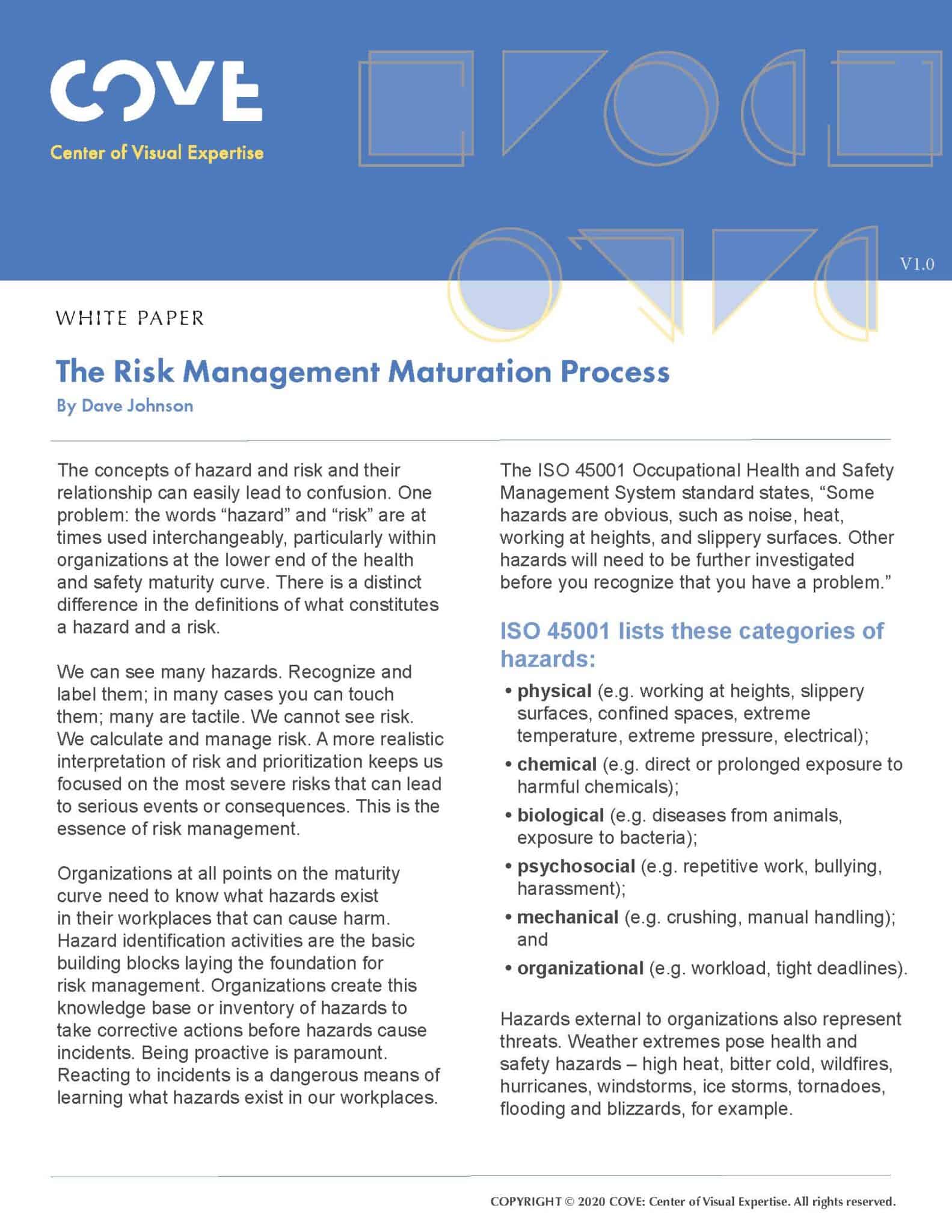 3 Building Blocks of an Effective Risk Management Process - COVE ...
