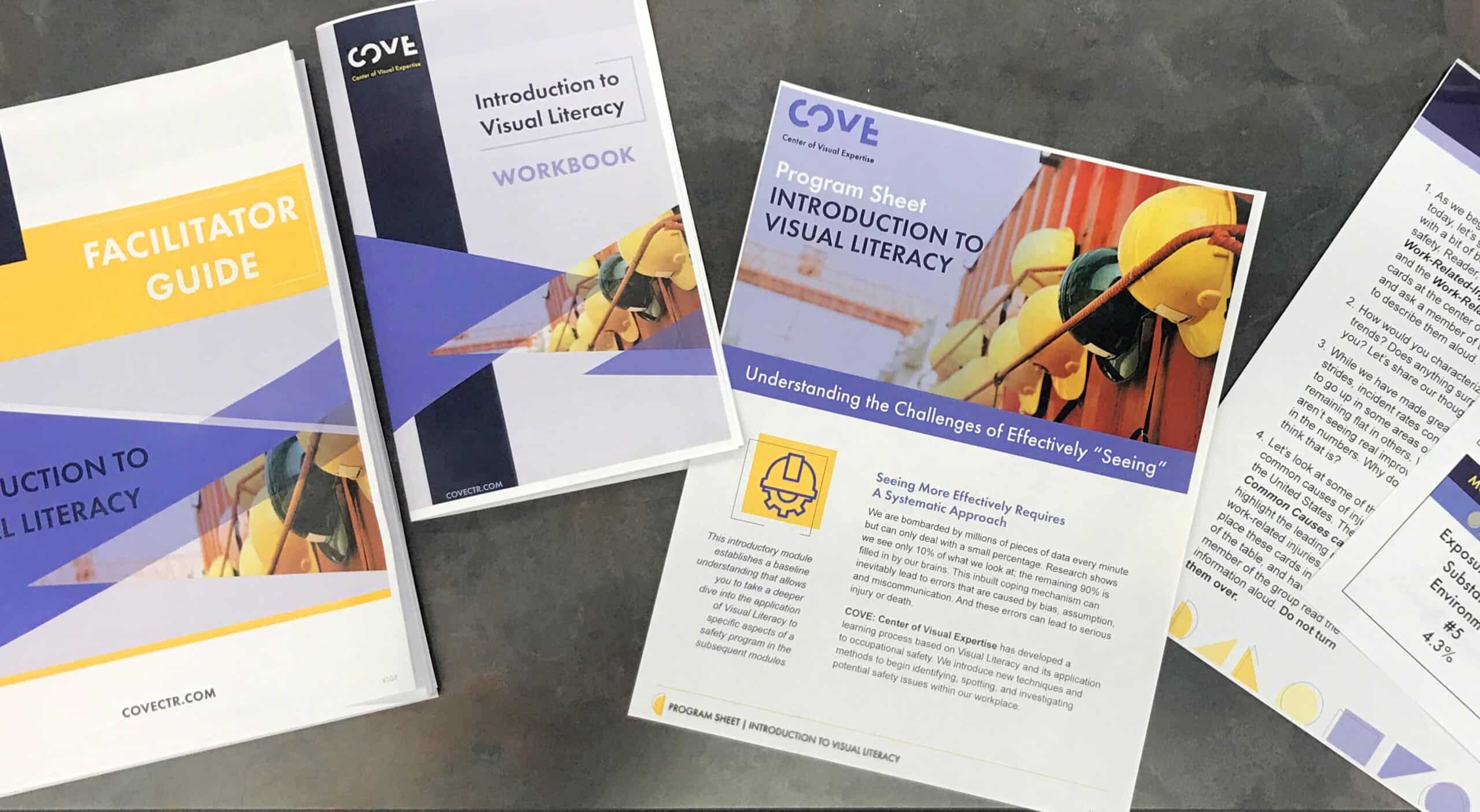 Training Modules to Help Integrate Visual Literacy Into Your Health and ...