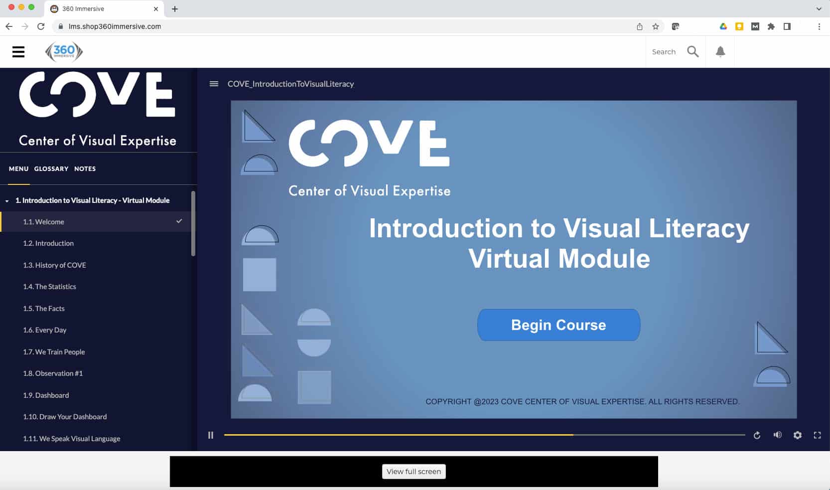 Introduction to Visual Literacy Module - COVE | Center of Visual Expertise
