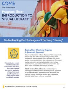 Introduction to Visual Literacy Module - COVE | Center of Visual Expertise